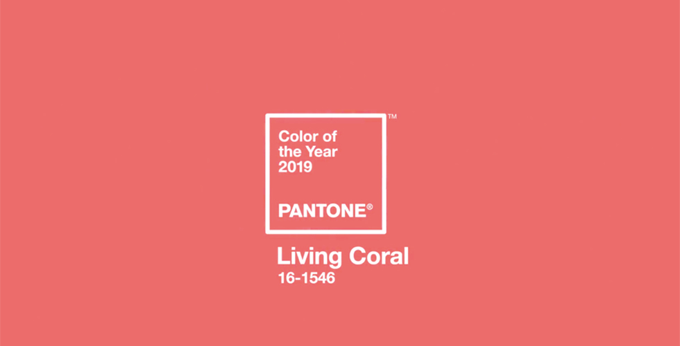 Pantone Farbe 2019