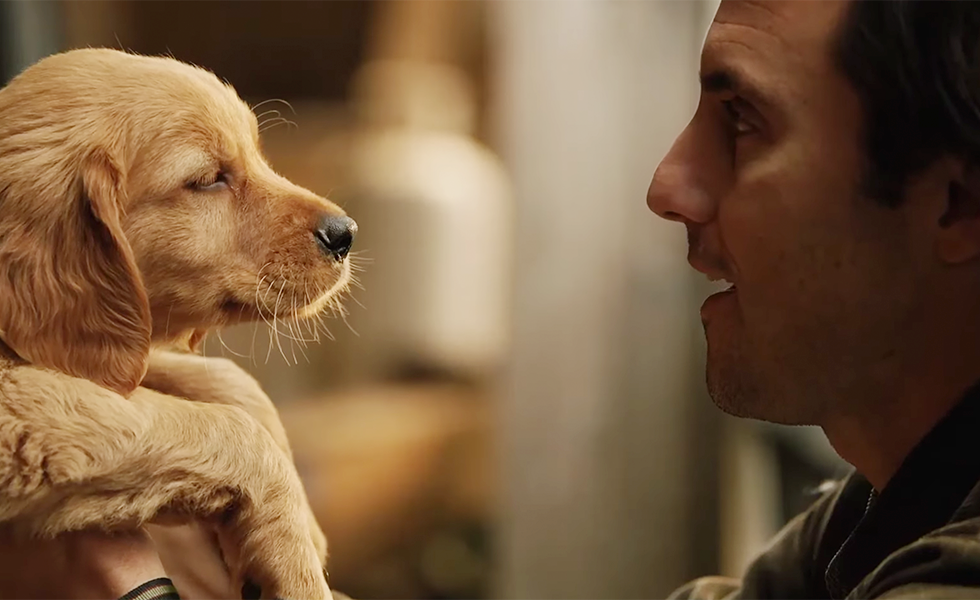 "Enzo und die wundersame Welt der Menschen": Meine Review zum Film